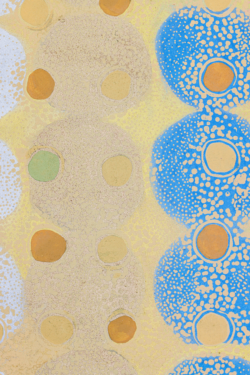 Lisa Michl Ko-manggén (Ma-rrambéliny Sugarbag) – Umi Arts