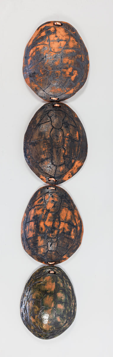 Shenane Jago, Turtle Shells – Umi Arts
