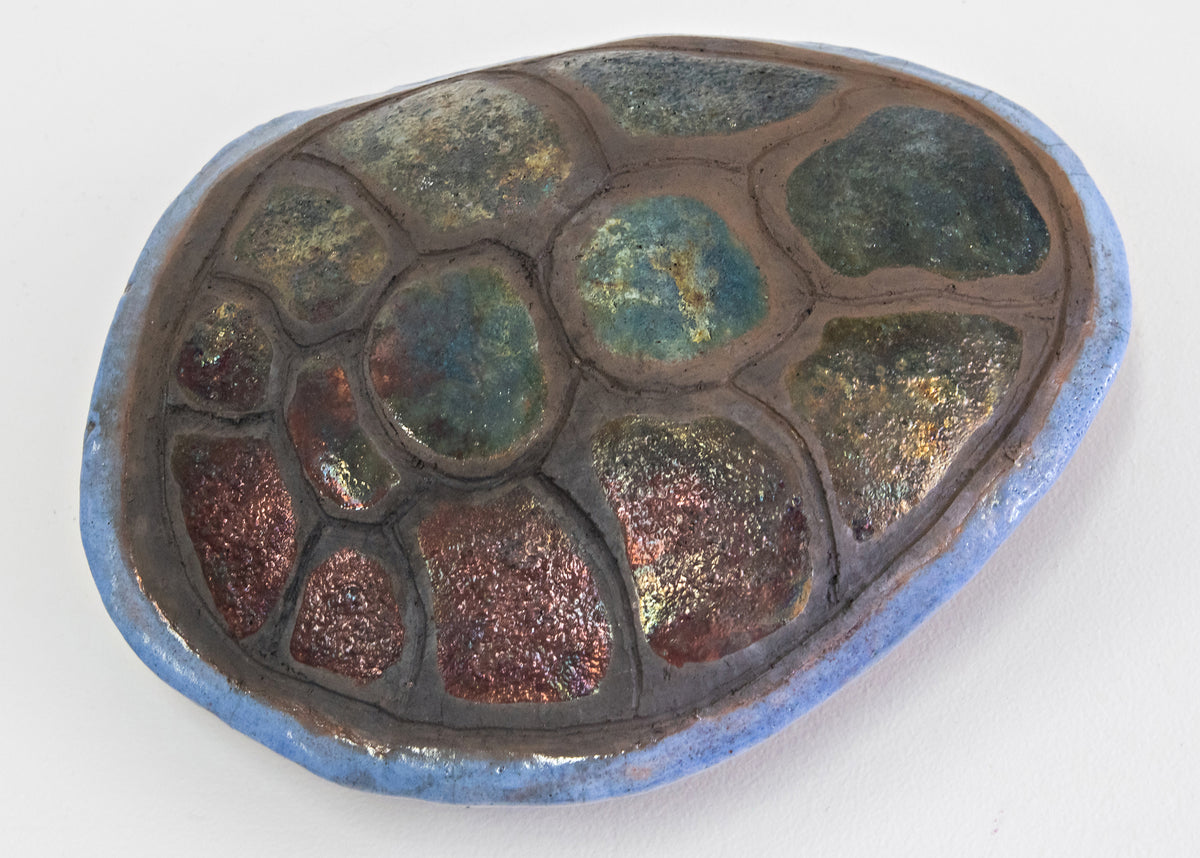 Shenane Jago: Turtle Shell #3 – Umi Arts