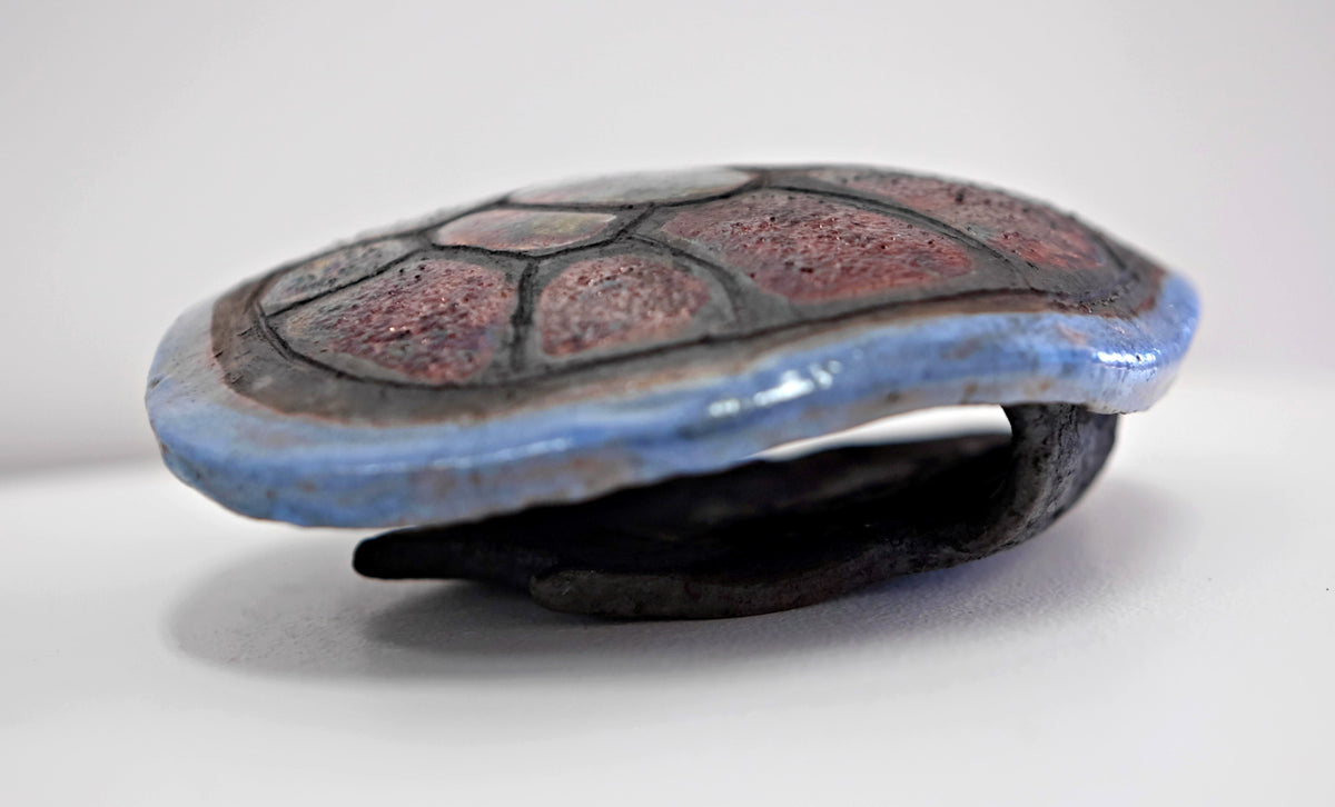 Shenane Jago: Turtle Shell #3 – Umi Arts